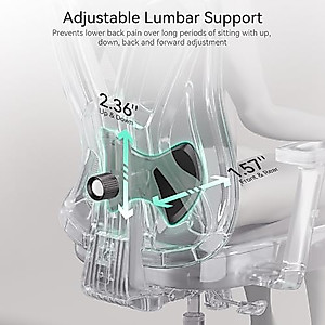 Hbada Ergonomic Office Chair, Desk Chair with Adjustable Lumbar Support and Height, Comfortable Mesh Computer Chair with Footrest 2D Headrest, Swivel Tilt Function Black