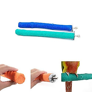 Borangs Parrot Perches Bird Stand Natural Wood Quartz Sand Branches Nail Perch for Small Medium Birds Cockatiel Cockatiel Parakeet Conure Cage Accessory Pack of 2 (Upgraded New Version 25cm/10)