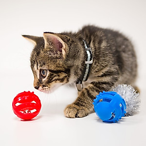 HARTZ Just For Cats Toy Variety Pack - 13 Piece, All Breed Sizes