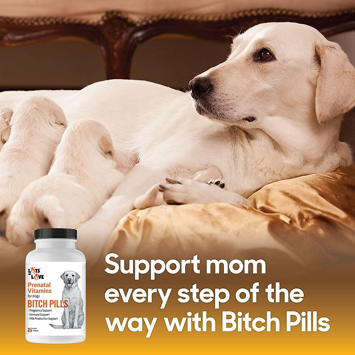 Bitch Pills - Pregnant Dog Prenatal Vitamins - 45 Tablets