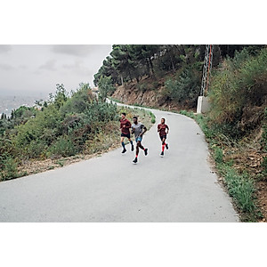 The Run Low Cut Socks 4.0, Blue, Men, IV