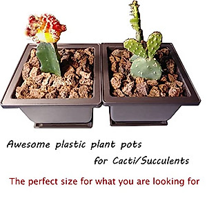 ZOENHOU 20 PCS 4.7 Inch Bonsai Training Pots, Square Plastic Bonsai Training Pots with Deep Humidity Trays, Bonsai Plants Growing Pot for Garden, Yard, Office, Living Room, Balcony