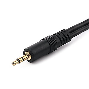 NANYI 3.5mm Male Stereo TRS to Two 6.35mm (1/4 inch) TS Female Stereo Breakout Cable, Y Splitter Adapter Cable 1FT / 0.3M