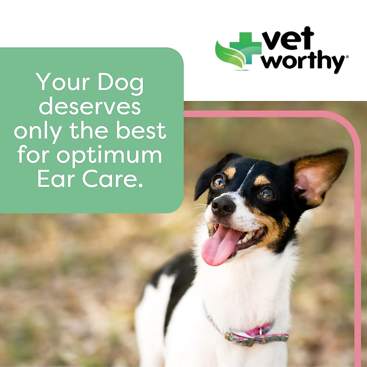 Vet Worthy Dog Ear Flush - Ear Cleanser for Dogs to Dissolve Wax, Remove Dirt, and Eliminate Ear Odor - Dog Ear Cleaner Solution to Reduce Itching and Ear Irritation - 8oz