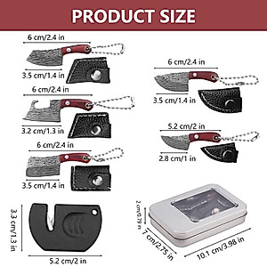 Ruksifg 5 Pcs Mini Knife Set Damascus Chef Knives EDC Knife Set Mini Cleaver for Package Opener,Box Cutter,Mini Knives Set with Sheath and Sharpener