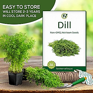 Dill Seeds for Planting Home Garden Herbs - Individual Pack of 300+ Heirloom Seeds, Suitable for Outdoors, Indoors, and Hydroponics - Non-GMO, Non-Hybrid, Untreated, and USA Grown Variety