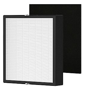 BF35 True HEPA Filter Replacement Compatible with BF35 BreatheSmart Classic Air Puri-fier for Large Room, 2 Pack BF35 HEPA Filter Replacement with Activated Carbon