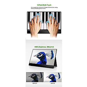 EVER LUSTRE 15.6 Inch Portable Gaming Monitor 4K Touch Screen 3840x2160 UHD Build-in Battery Display Screen for PS4, Xbox, Switch, Smart Phone, Laptop (Battery Monitor+case)