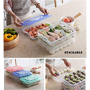 TIAN CHEN Food Refrigerator Storage Containers with 2 Lids, 4 Layer, Stackable Handheld Carrier for Snack, Cookie, Meat, Bacon, Charcuterie, BPA Free (Transparent 4 tier)