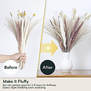 Luxclub Dried Pampas Grass Decor, 100 PCS 17 Inch Pampas Grass, Fluffy Bunny Tails Dried Flowers, Reed Grass Bouquet, Natural White Pompas for Wedding, Floor Vase Boho Flowers Home Decor Decorations