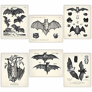 Bats Wall Art Decor - Vintage Retro Hipster Goth Art for Home Room Decoration - Gift for Gothic Horror Vampire Fans - 8x10 UNFRAMED Creepy Scary Dark Academia Picture Poster Print Set