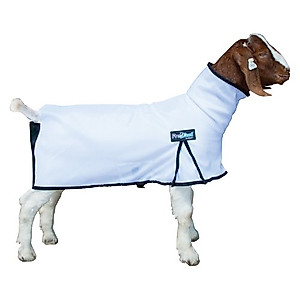 Weaver Leather Livestock ProCool Mesh Goat Blanket, Medium, White