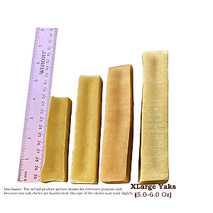 Authentic Himalayan Yak Cheese for Dogs - XLarge (Pack of 2) - Sourced from Pristine Himalayan Foothill, Rawhide-Free, NO preservatives
