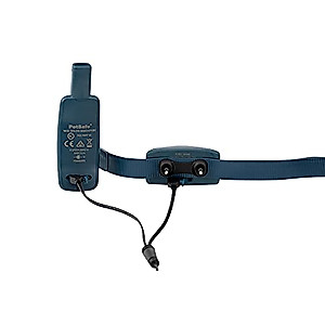 PetSafe Remote Trainer USB Adaptor for PetSafe 100, 300, 600 and 900 Yard Remote Trainers and Lite Remote Trainers,Black