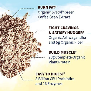 Garden of Life Raw Organic Fit Vegan Protein Powder Chocolate, 28g Plant Based Protein for Weight Management, Pea Protein Fiber Probiotics, Dairy Free Nutritional Shake for Women and Men, 20 Servings