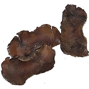 Box Lot of 30 Botanicals for Aquariums: Indian Almond Leaves, Cholla Wood, Birch Cones, Lotus Lafi Twistie Curve Pods, Pear Halves Pods, Coco Curls, Banana Sticks for Freshwater Blackwater Tannins