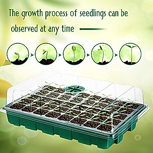 10 Pcs Seed Starter Tray 40 Cells Seed Starter Kit with Humidity Dome and Base Propagation Tray Plant Germination Greenhouse Mini Propagator Station for Seeds Growing, Total 400 Cells(Green,10 Pcs)