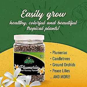 Nelson Plumeria Plant and All Flowering Tropicals Food Ferns Orchids Lilys In Ground Container Patio Grown Granular Fertilizer NutriStar 5-30-5 (2 lb)