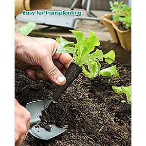 16 Pack Replacement Grow Sponges, Seed Starter Pods Compatible with AeroGarden, Seed Pod Kit Root Growth Sponges Hydroponic Sponges Kit, Refill Pods for Hydroponics Indoor Garden Growing System