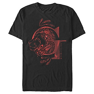 Harry Potter Men's T-Shirt, Black, Small