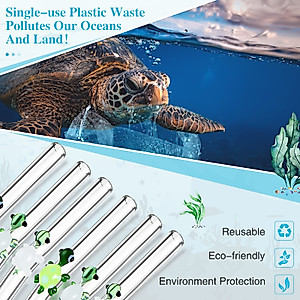 10 Pcs Reusable Glass Straw with Turtle Clear Straws 7.9'' x 8 mm Cute Turtle Bent Straw with Design Shatter Resistant Drinking Straws 4 Cleaning Brushes for Beverages Smoothies Cocktails, 3 Styles