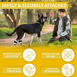 AGON® Dog Rear Brace Pair Hock Joint Brace with Metal Strings and Reflective Wraps Compression Straps Canine Back Leg Protects Wounds. Heals Prevents Injuries Sprains Loss of Stability by Arthritis