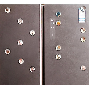 YayaCat 24Pcs 1.2in Round Crystal Glass Refrigerator Magnets,Line Drawing Flower Magnets for Fridge and Locker,Cute Decorative Whiteboard Blackboard Magnets for Office and Kitchen (Plant Line Drawing)