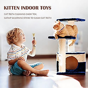 HomeDoReMi Cat Toy 5 Packs , King Size Cat Chew Toy, Kitten Teething Toys, Cat Chew Toys for Aggressive Chewers, Silvervine Chew Sticks for Cats, Catnip Sticks,Calm Cat Anxiety and Stress