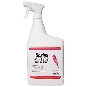 Gimborn Scalex for Birds - Mite & Lice Spray - 32 ounce