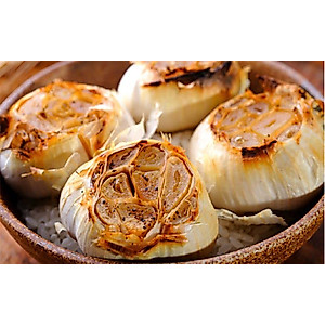 Elephant Garlic Tubers for Fall Planting Outdoors - 1 Pound Garlic - Planting Ornaments Perennial Garden Simple to Grow Pots