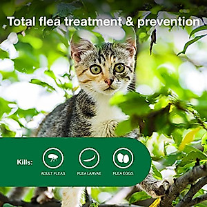 Advantage II Kitten Vet-Recommended Flea Treatment & Prevention | Cats 2-5 lbs. | 2-Month Supply