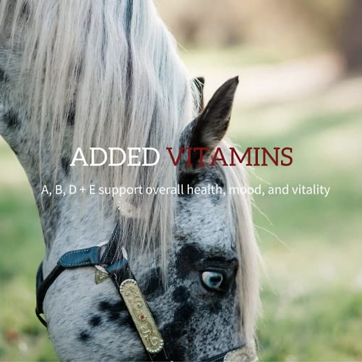 Redmond Equine Electrolyte Paste | Electrolytes Supplement for Horses