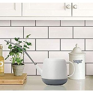 SAROSORA Watering Can for Hous Plants Garden Flower Long Spout 1.2L Helps You Water Tiny House Plants, Succulents, Bonsai or Herb Gardens (White)