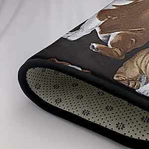 English Bulldogs Ultra Soft Non Slip Door Mat Rugs, Bedroom Carpets, for Living Room Dorm Bathroom Decorative