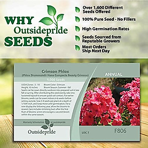 Outsidepride Phlox Crimson Ground Cover, Garden Flowers, Bedding & Container Plants - 1000 Seeds