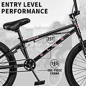AVASTA Kids Bike 20 Inch BMX Freestyle Bicycle for 6 7 8 9 10 11 12 13 14 Years Old Boys, Freewheel Kids Bike with 360 Gyro Rotor/4 Pegs/Handbrake/Rear U-Brake, Black Red