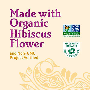 Yogi Tea - Berry DeTox Tea (6 Pack) - Healthy, Cleansing Antioxidant Blend - Caffeine Free - 96 Organic Herbal Tea Bags