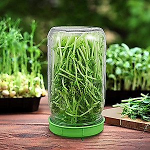 Amytalk 12 Pack Plastic Sprouting Lids for 86mm Wide Mouth Mason Jars, Sprouting Strainer Lid for Canning Jars, Suit for Grow Bean Sprouts, Alfalfa, Salad Sprouts etc