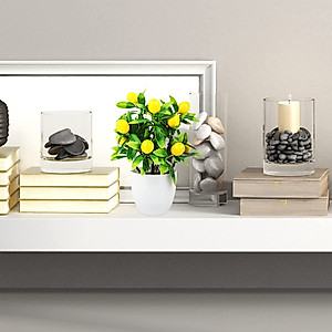 WIVAYE Artificial Lemon Tree Plant Decor, 9.65 Lemon Tree Indoor Plant, Artificial Flowerpot Lemon Bonsai for Office Table Stair Balcony Garden Home Decor, 3.74 x 9.65inch