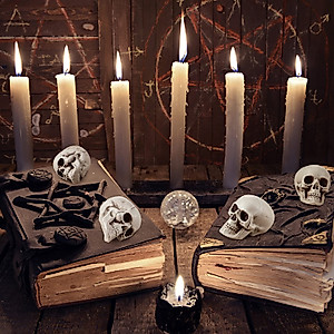 Boao 10 Pieces Halloween Skeleton Head Small Mini Skulls for Halloween Party, Halloween Decor Props, Table Decor