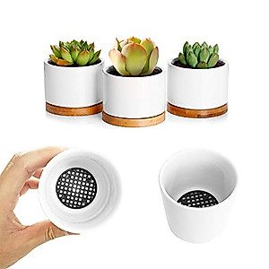 ROSOLI 50 Pack Flower Pot Hole Mesh Pad, 4.5CM/1.8 icnhes Round Ultra Rigid Bonsai Pot Mesh Drainage Screens