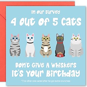 Cult Kitty - 4 Out Of 5 Cats - Joke Happy Birthday Cards For Him - Funny Birthday Card For Her - Funny Birthday Cards For Men - Funny Birthday Cards For Women - Birthday Card Cat - Cat Birthday Card