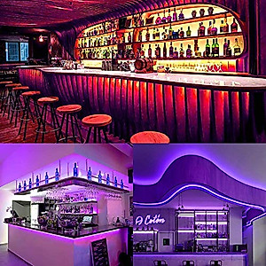 MINGER RGB LED Strip Lights, 16.4ft Color Changing Light Strips with Remote Controller, Protective Coating, 5050 LED and DIY Mode, Dimmable Full Light Strips for Bedroom, Room, Kitchen