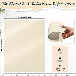 250 Sheets 8.5 x 11 Inch Metallic Paper Shimmer Card Stock 80lb 210 Gsm Double Sided Card Stock Printer Paper for Weddings Birthdays Craft Use Invitations Certificates DIY Cards (Cream)