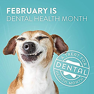 DOGSWELL Dog Dental Care Treats Made in USA Only, Grain Free Chicken Jerky Dog Treats, 24oz Bag