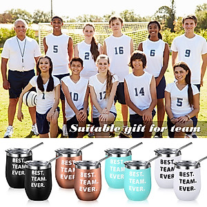 Pinkunn 8 Pcs Best Team Ever Tumblers Thank You Employee Appreciation Gifts Stainless Steel Insulated Wine Tumbler Christmas Team Gifts with Lid and Straw for Coworkers Women Men, 12 oz(Black)