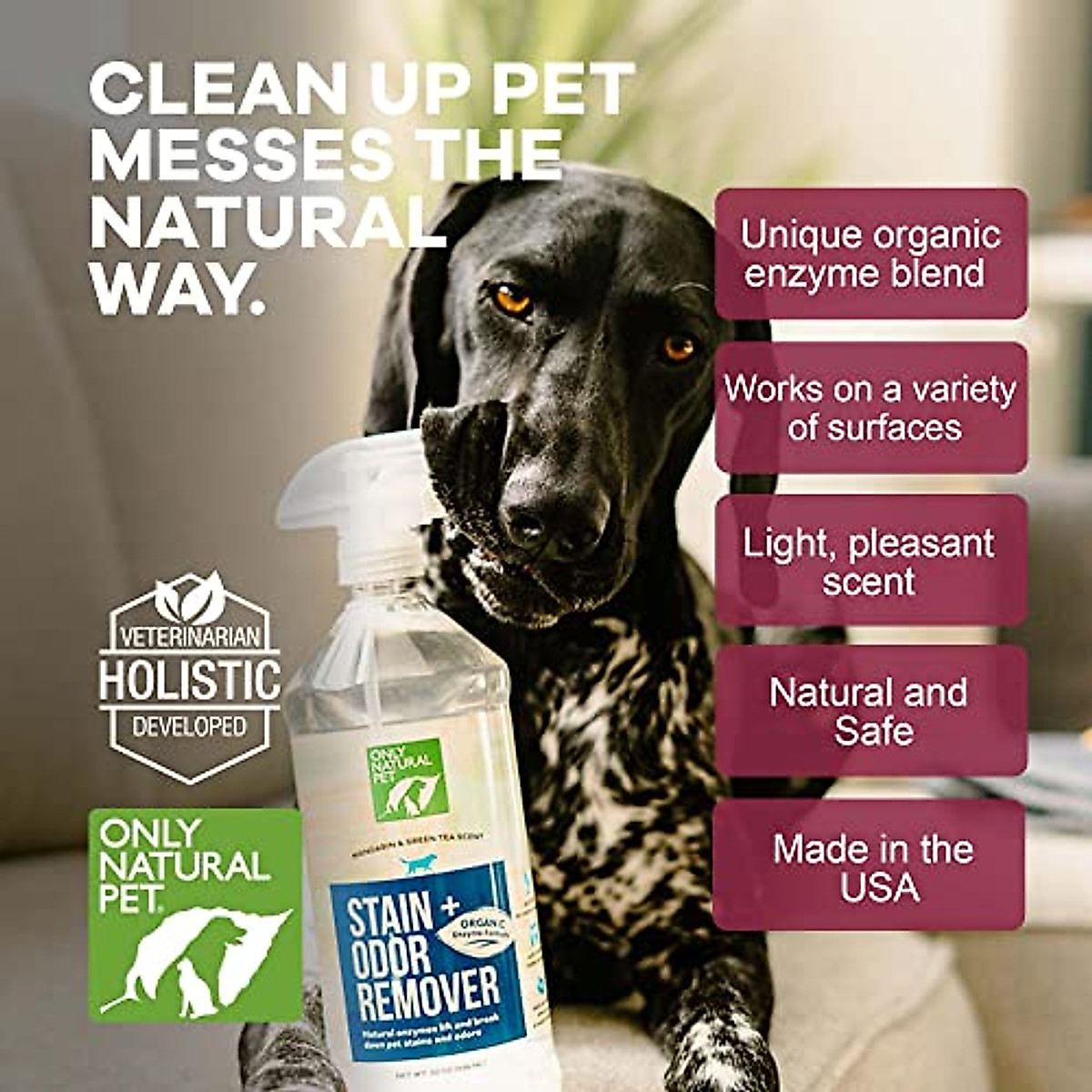 Only Natural Pet Enzyme Powered Stain & Odor Eliminator - Professional Pet Urine Pee Cleaner Deodorizer For Dogs - Hardwood Floors Carpets Upholstery - Fresh Mandarin Orange & Green Tea Scent - 32Floz