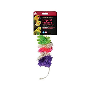 Prevue Pet Products Tropical Teasers Triple Play Bird Toy, Multicolor (Model: 62461)