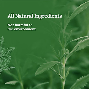 Magnificent 101 Long Lasting Pure White Sage Collective Candle | 6 Oz - 35 Hour Burn | Soy Wax Candle For House Energy Cleansing & Manifestation | Future Is So Bright & It's Coming Soon