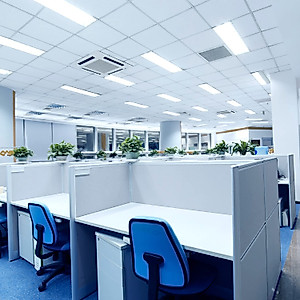 LUXRITE F32T8/865 32W 48 Inch T8 Fluorescent Tube Light Bulb, 6500K Daylight, 2800 Lumens, G13 Medium Bi-Pin Base, LR20735, 4-Pack